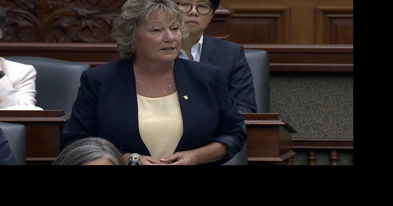 Stevens glad Ontario is moving forward on Clare’s Law
