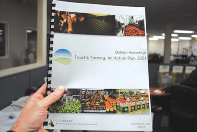 Farm action plan outlines options for growth of agriculture