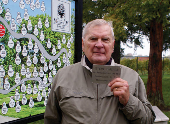 An evergreen memorial