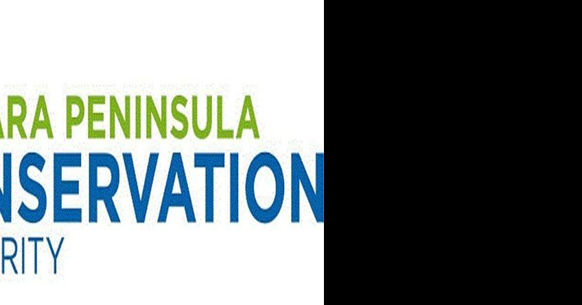 Call for NPCA supervisor rejected by Niagara Falls council