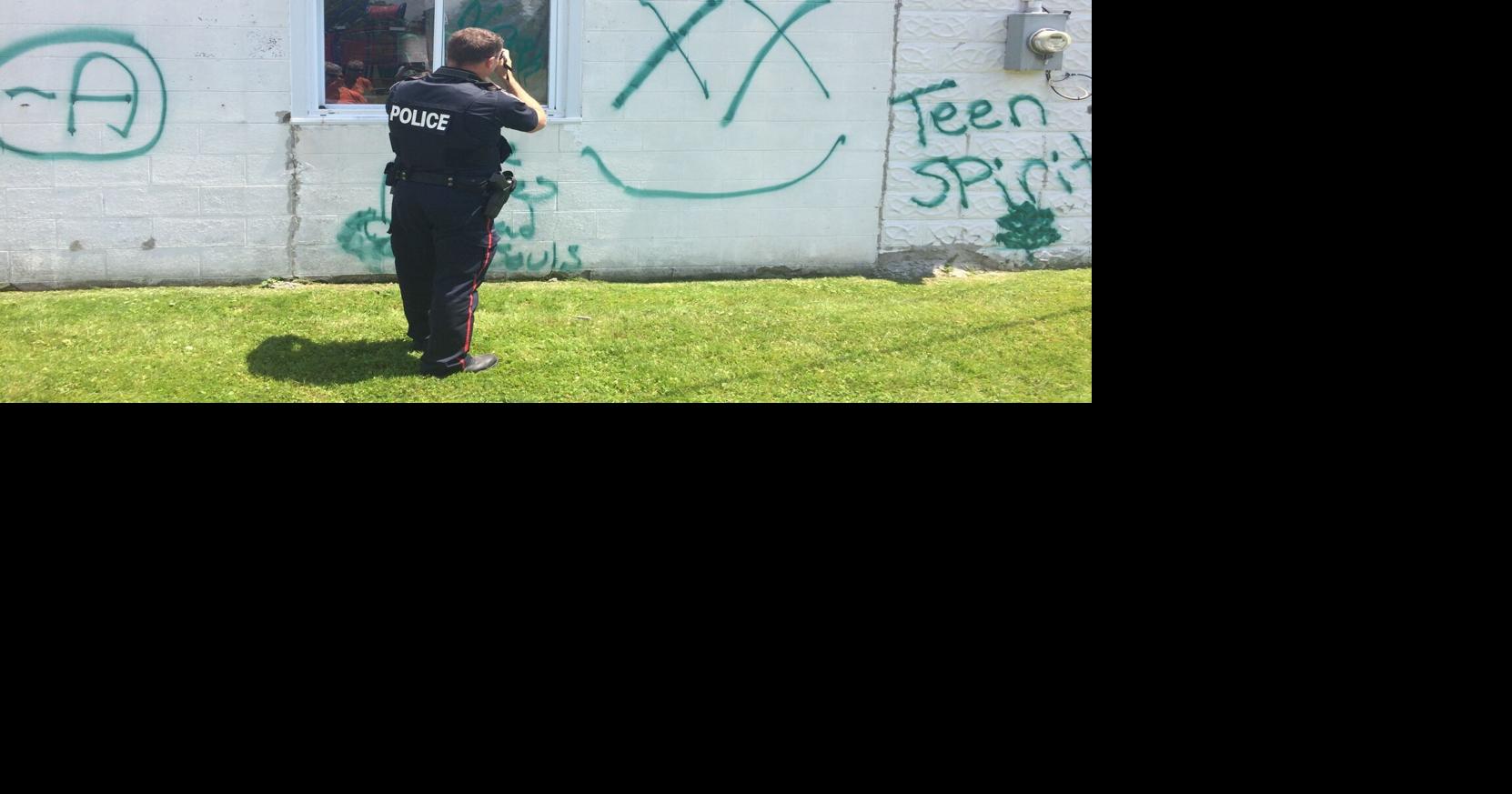 Vandals spray paint Fort Erie park with Nazi symbols