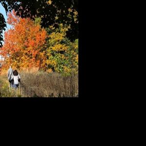 Royson James: Even in this jacked-up year of COVID-19 lockdowns and ...