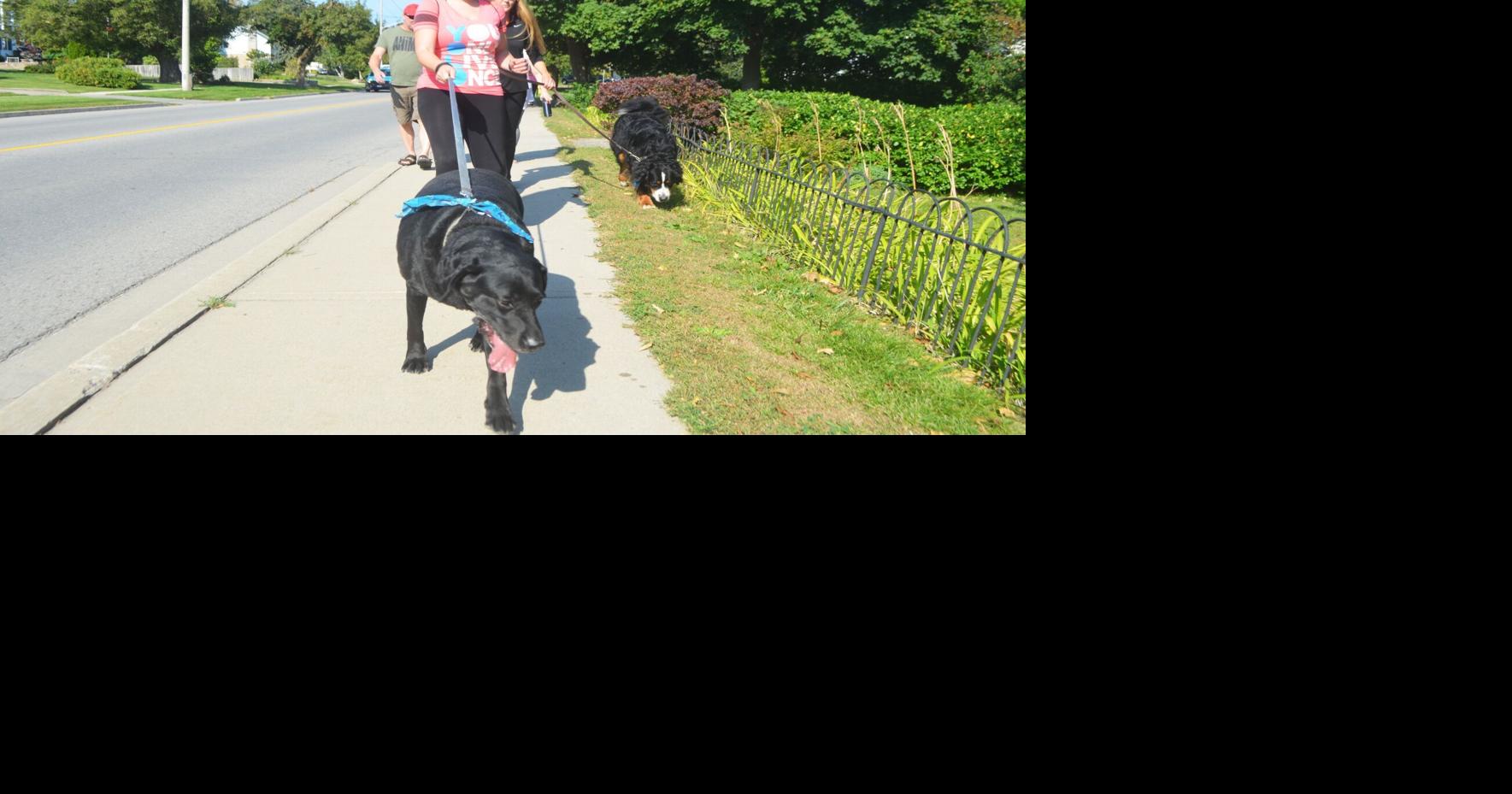 Canines for Compassion Dog Walk event raises money for local hospice