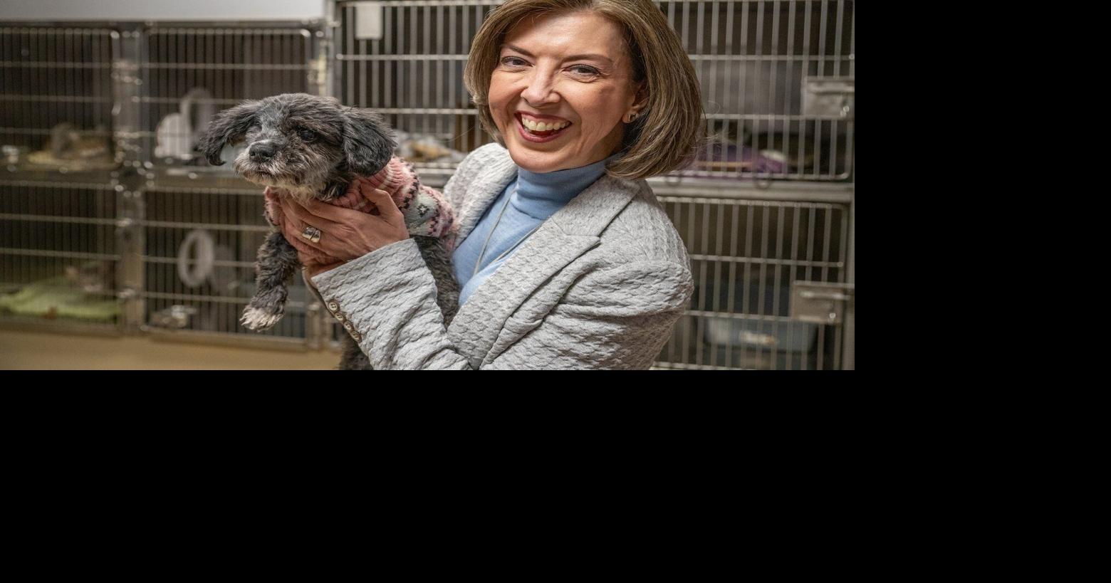 New humane society director to help relaunch expansion plans