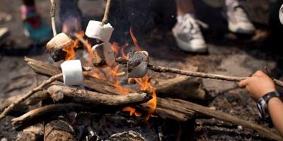 backyard bonfire rules