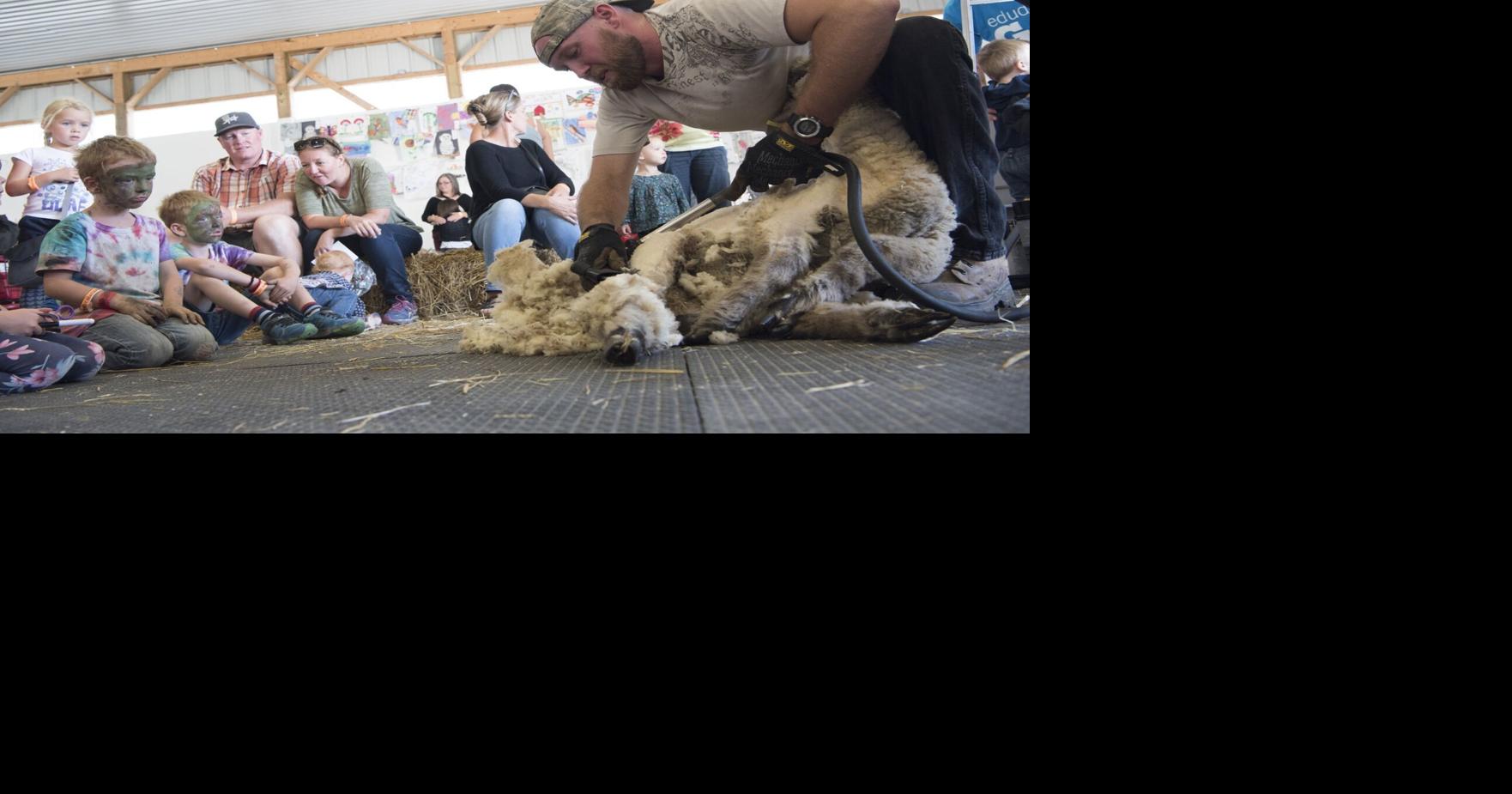 What's happening with Niagara's fall fairs and festivals?