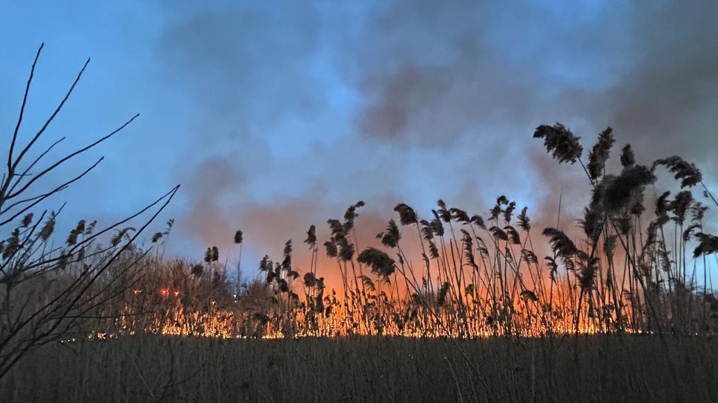Firefighters knock down Thorold grass fire