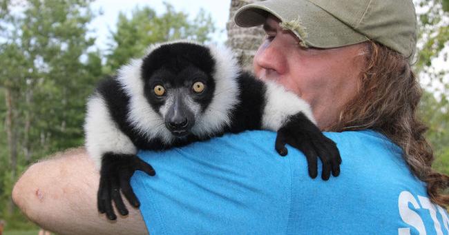 Wainfleet family trying to save a species