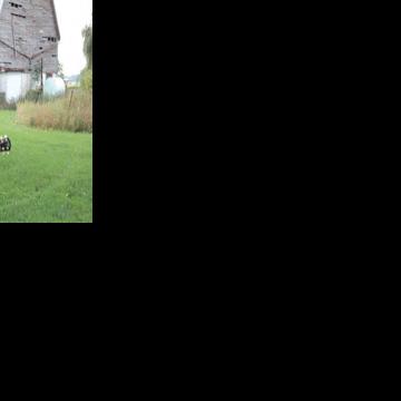 Halladay launches first CD