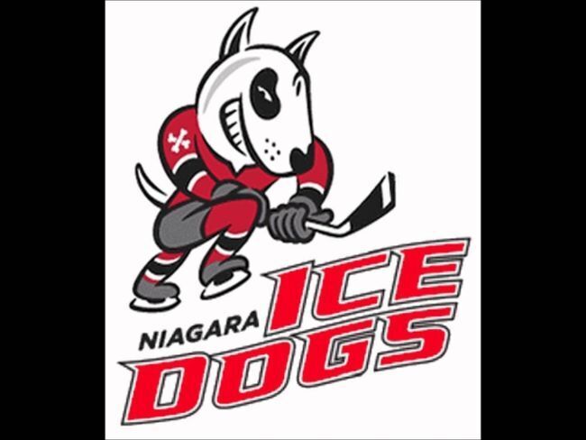 IceDogs go for Dane in import draft