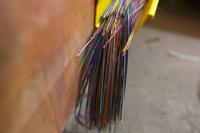 Meet Haley Bateman, Regional Council candidate for St. Catharines