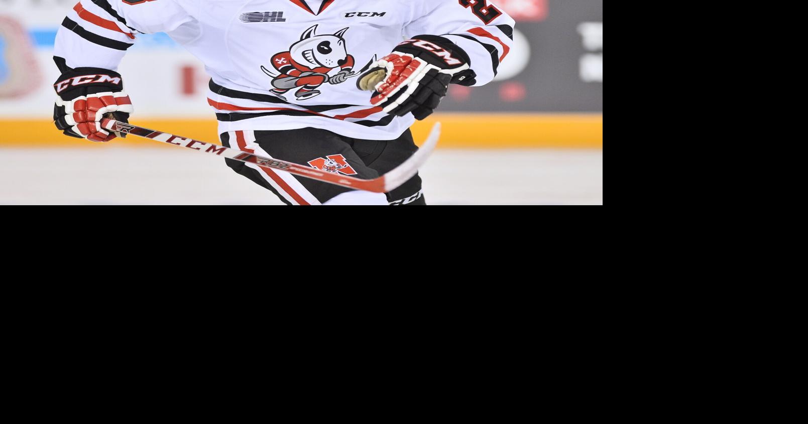 Johnny Corneil leads IceDogs past Wolves