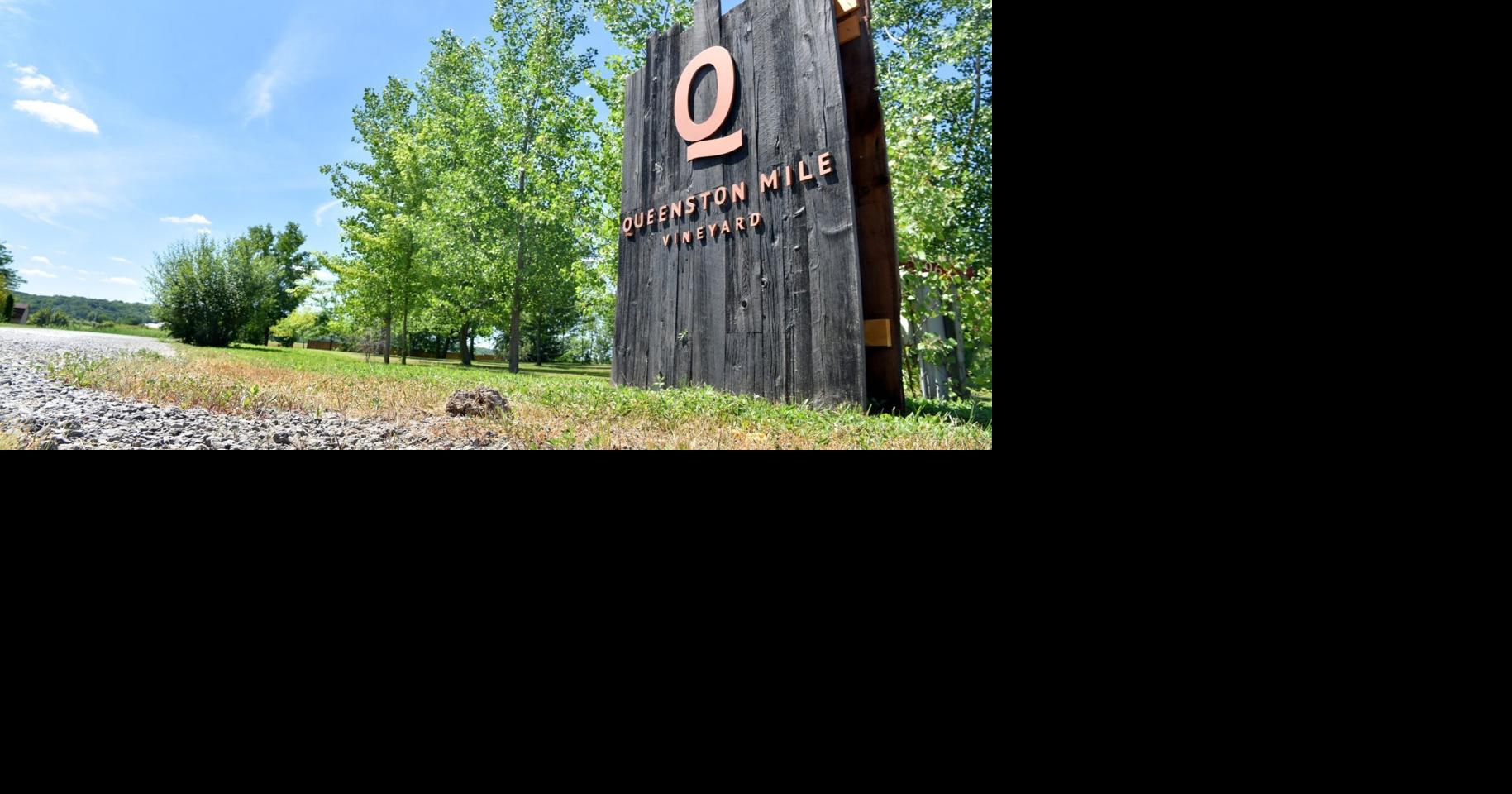 How a local NOTL winery partnered with Taco Bell to create a spicy new ...