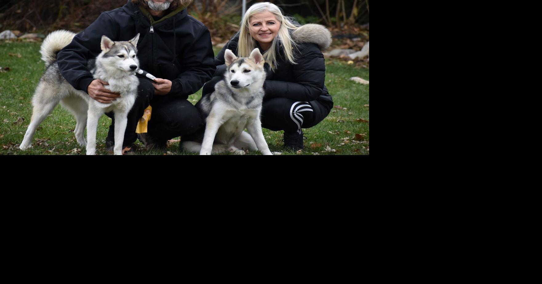 Adopted dogs from Manitoba enrich families' lives