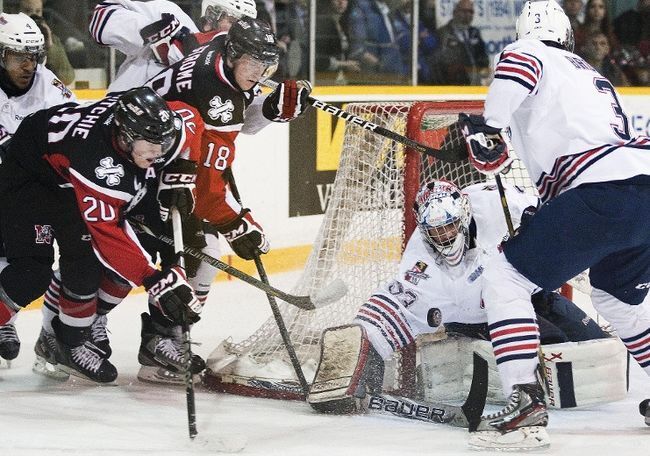 IceDogs look promising for future