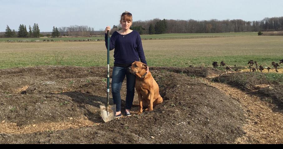 Niagara Farm Project taking shape
