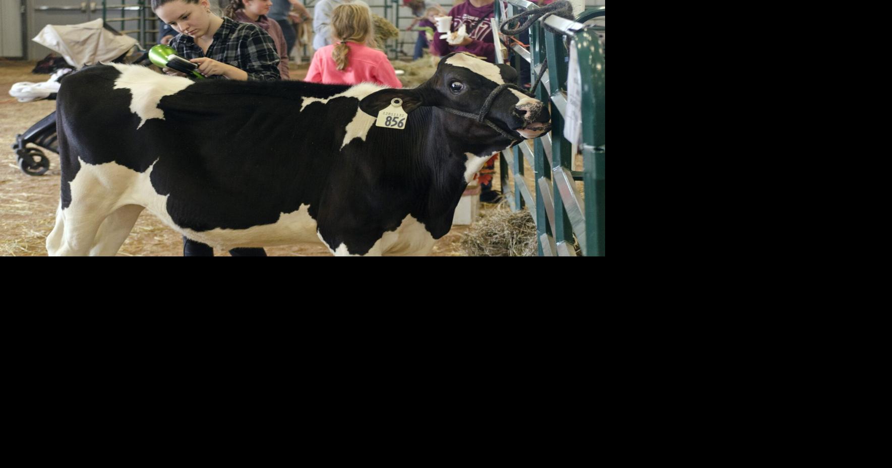 West Niagara Fair returning after hiatus