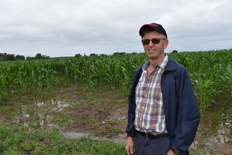 Lincoln cornfield becomes classroom
