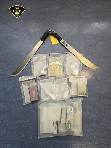 Niagara Falls man arrested in Northern Ontario drug bust