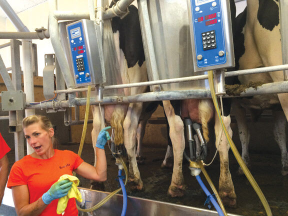 A first-hand look at dairy farming