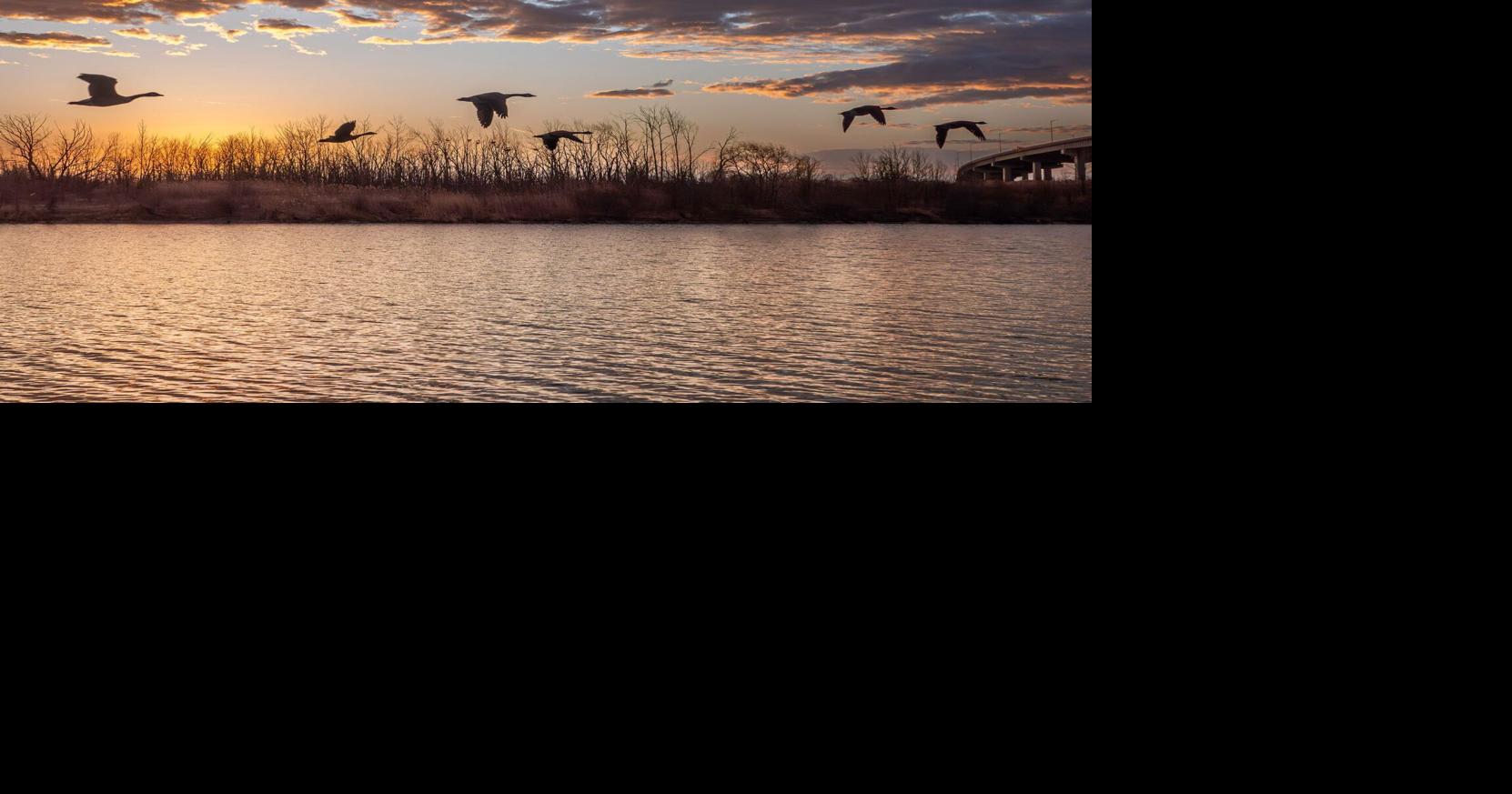 OUR NIAGARA: Dawn on the Welland Canal