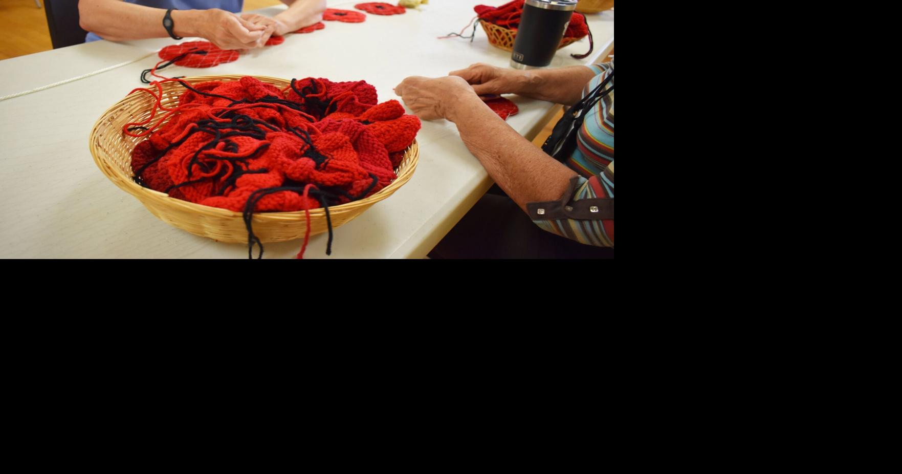 Poppy Project art display comes to Lincoln