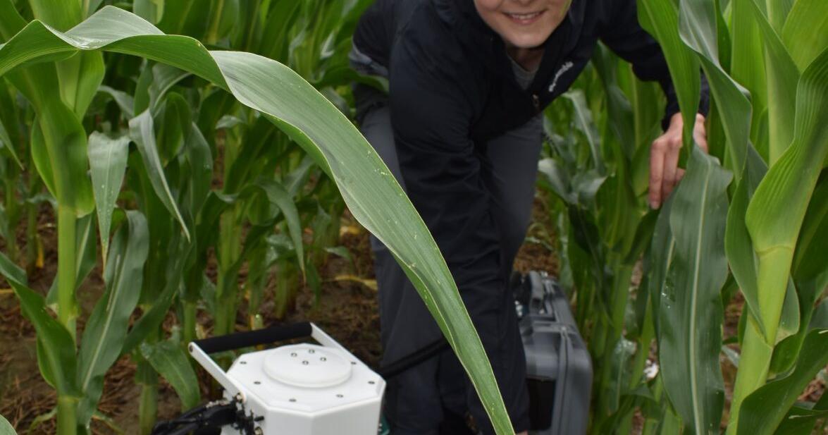 Lincoln cornfield becomes classroom