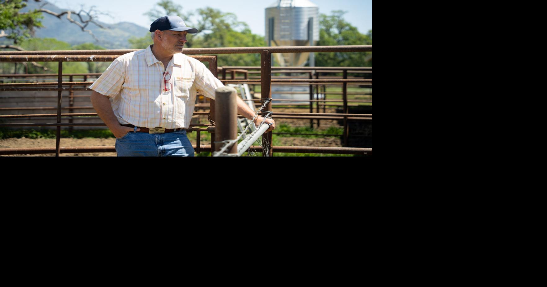 Will Densberger | | nobhillgazette.com