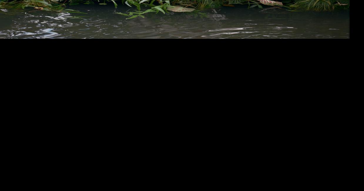 Amy Soper & Armand Hernandez | | nobhillgazette.com