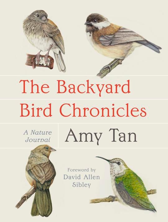 Interview with Amy Tan on The Backyard Bird Chronicles | The Interview ...
