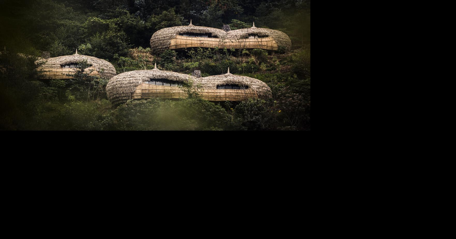 Wild Africa Follows in Dian Fossey’s Footsteps in Rwanda | Travel | nobhillgazette.com