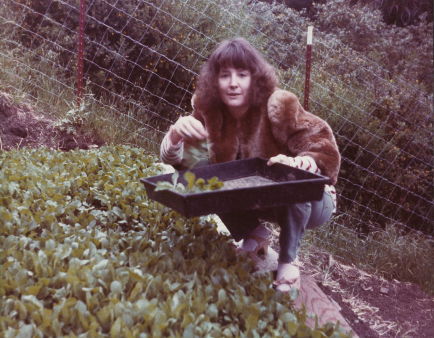 Alice Waters: The Pioneering Restaurateur and Activist Is As Committed ...