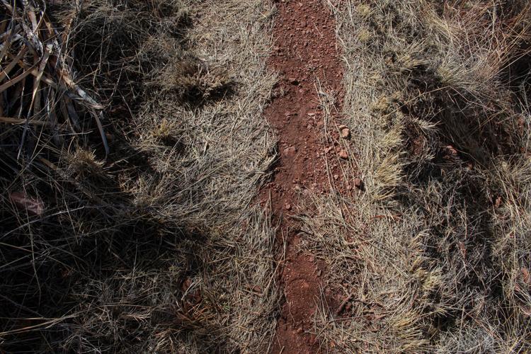 ‘Dirtbags’ set out to restore Atascosa Lookout Trail | Local News ...