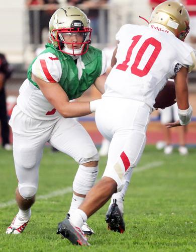 New coach hopes to rebuild Hawks from the ground up | Local Sports ...