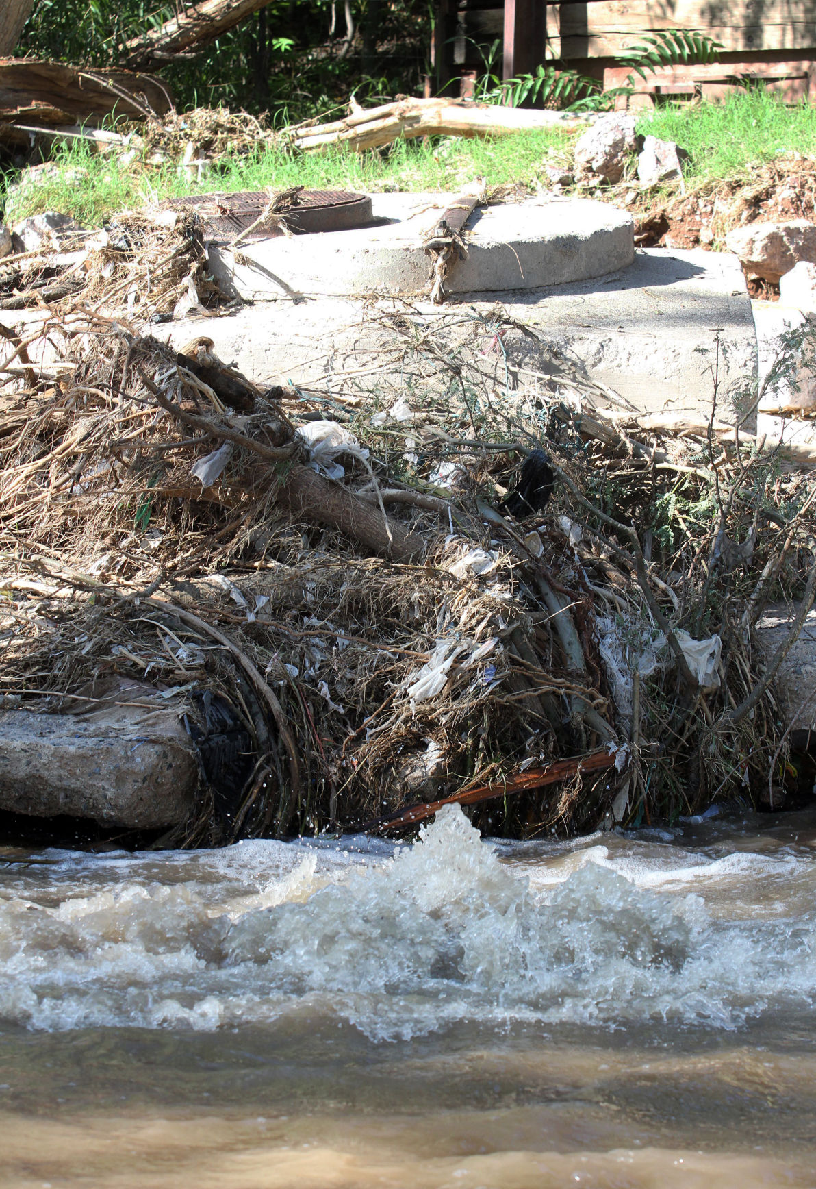 Governor declares emergency after tests show high E. coli levels near ...