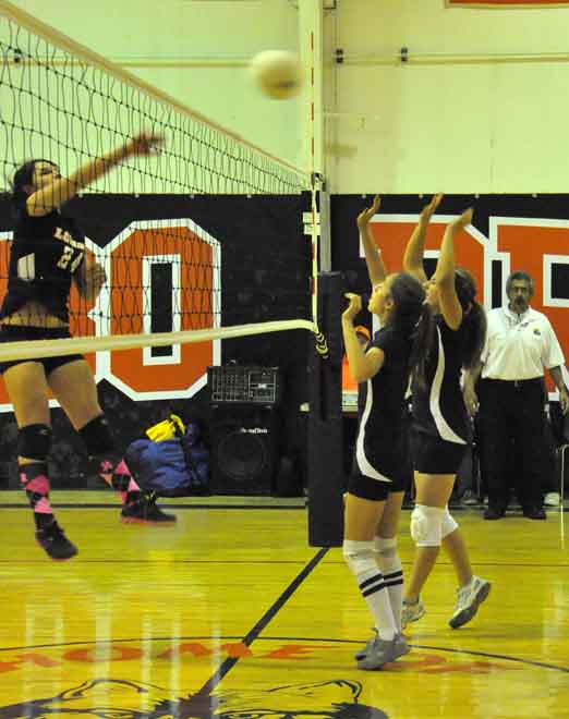 Lady Lobos top Warriors in final home game | News ...