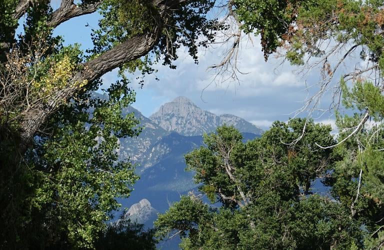 Rio Rico golf team is off to a strong start | Local Sports ...