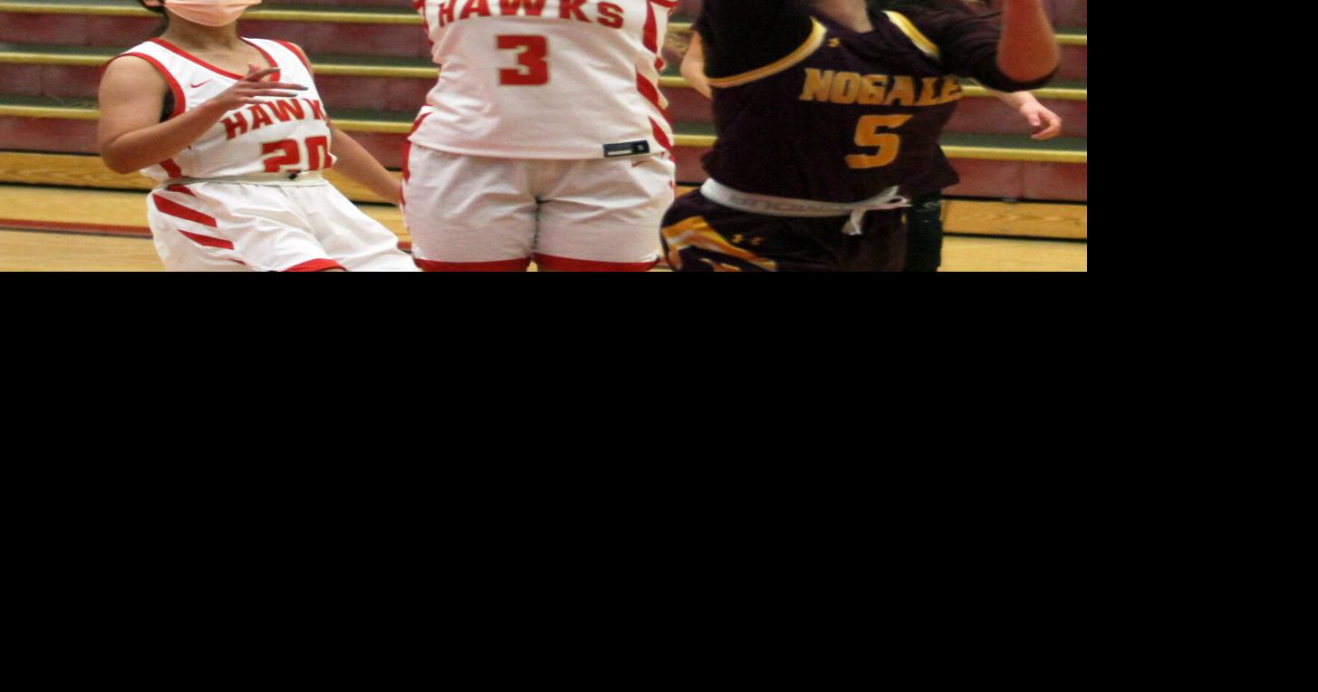 Hawk hoop players earn regional recognition | Local Sports ...