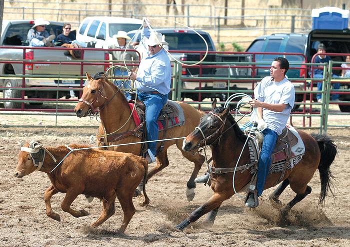 Roping event raises funds for RR baseball | Local Sports News ...