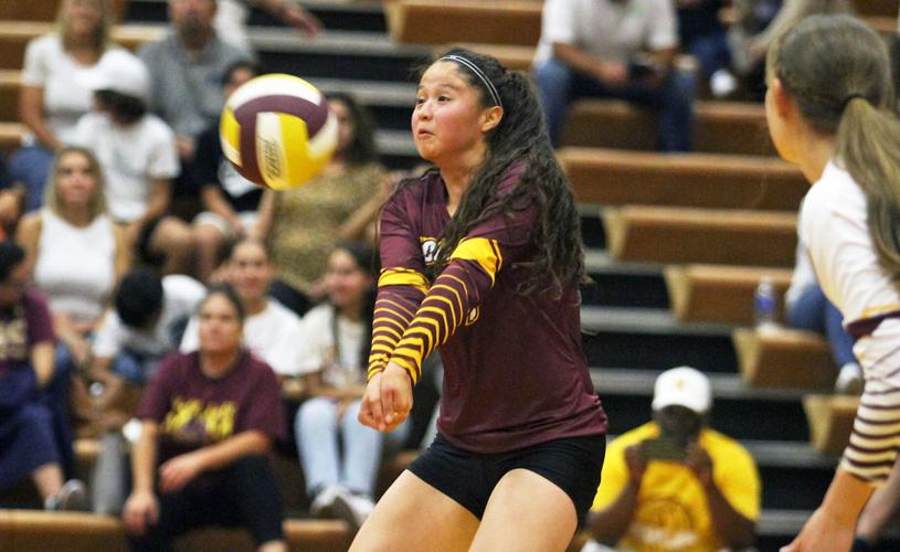 Flowing Wells downs NHS in volleyball | Local Sports News ...