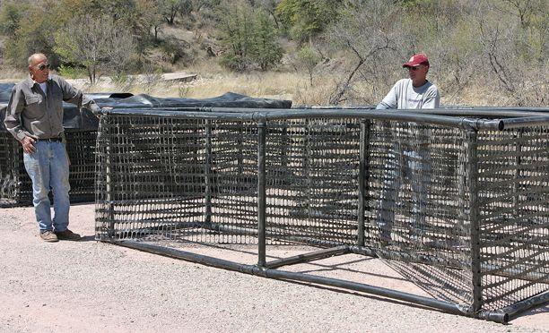 Volunteers build crappie condos | Community | nogalesinternational.com