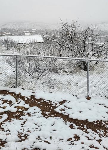 Gallery: Storm leaves community covered in snow | Gallery ...