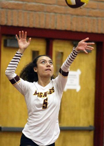 NHS closes out volleyball season | Local Sports | nogalesinternational.com