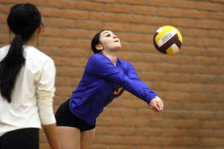 NHS closes out volleyball season | Local Sports | nogalesinternational.com