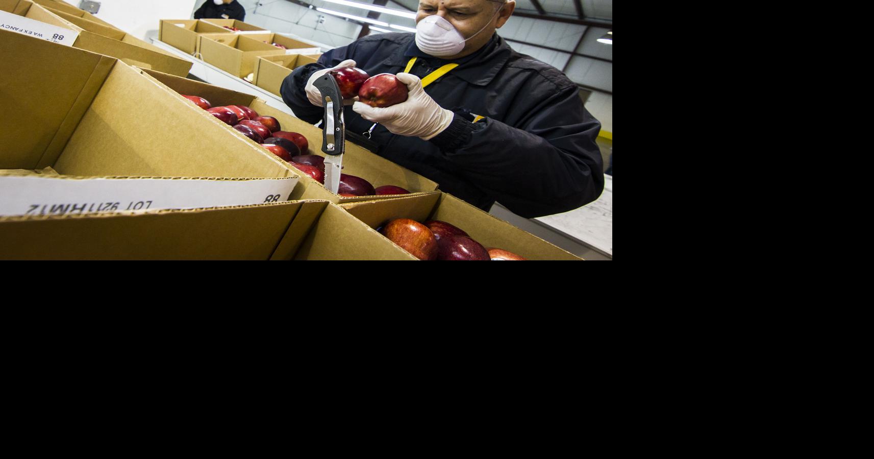 Nogales also a hub for southbound produce | Local News Stories ...