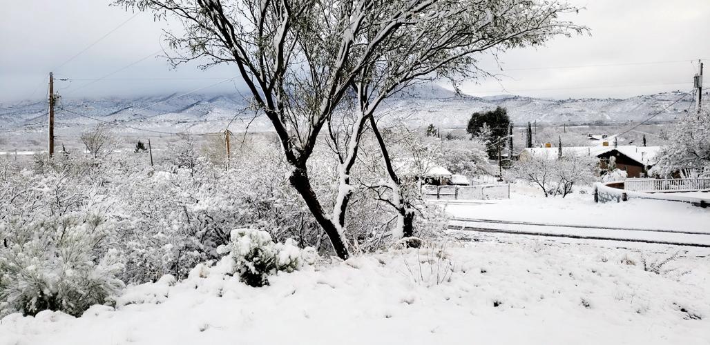 Gallery: Reader snow pics | Gallery | nogalesinternational.com
