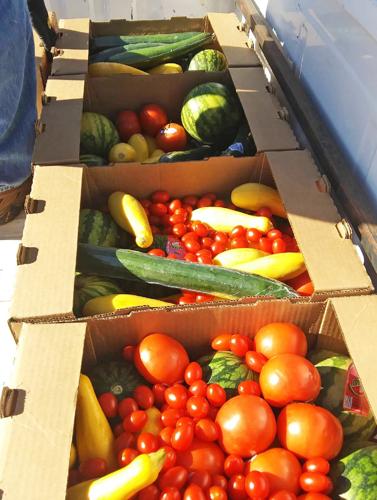 Excess produce piles up in Nogales as nation’s food supply chain reels ...