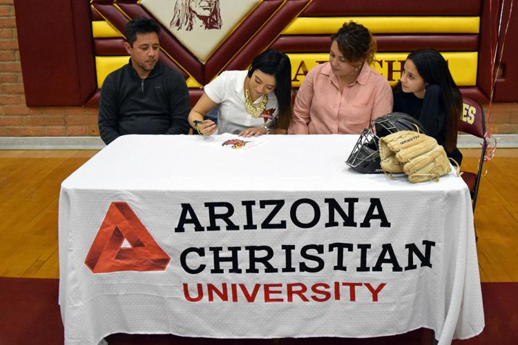 firestorm softball logo