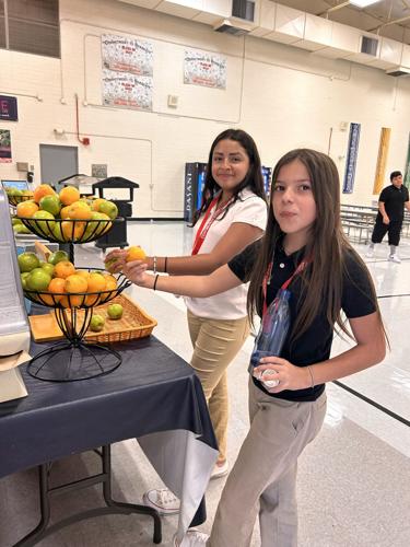 Three SCVUSD schools listed among ‘America’s Healthiest’ | Community ...