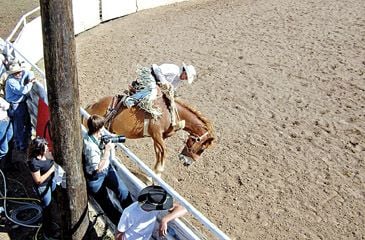 Rodeo promises 3 days of action | News | nogalesinternational.com
